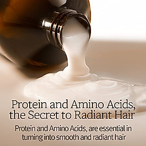 Nard Shampoo and Conditioner Set Signature 33.8 Fl Oz - Strong Vitality from Himalayas - Natural Surfactants giving Soft Cleansing - Argan Olive Jojoba Macadamia Sunflower Oil, Protein, Amino Acids