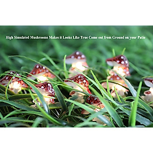 SEMILITS Outdoor Solar String Lights 30LED 21Ft Waterproof Solar Powered Seashell String Lights for Garden Yard Patio Christmas Decorations Warm White