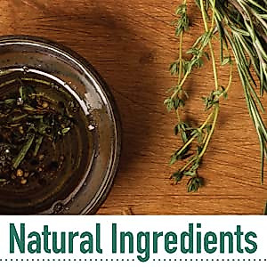 Whole Black Lentils - 16 Oz - Beluga Lentils - Black Masoor Daal - Ideal for Enriching Stews, Curries, Tacos & Soups - Non-GMO, Kosher Certified & Vegan