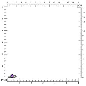 Silvershake Genuine African Amethyst and White Topaz 925 Sterling Silver Engagement Ring Size 8