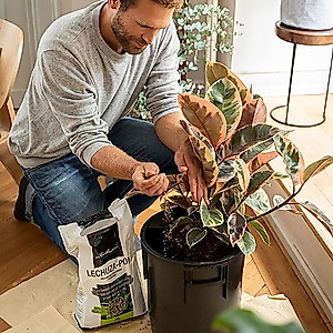Lechuza 19561 PON Mineral Plant Substrate Potting Mix for Indoor Gardening, 6 Liter Bag, Grey