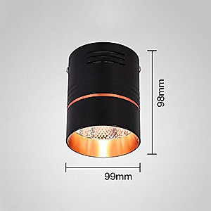 PEHUB 5W 10W 15W Downlight Indoor Ceiling Surface Mounted Spotlight Picture Display Accent Lamp Warm White 3000K 6000K LED Down Light Hotel Loft Villa Home Lighting High Brightness (Color : Black(15W