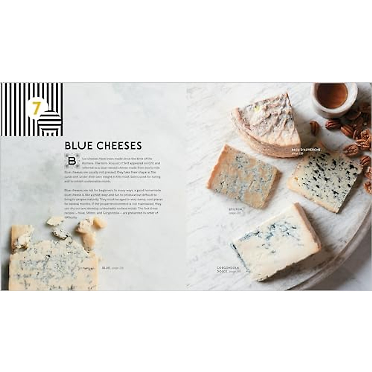 Home Cheese Making, 4th Edition: From Fresh and Soft to Firm, Blue, Goat’s Milk, and More; Recipes for 100 Favorite Cheeses