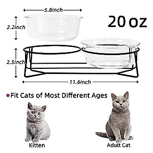 Double Glass Raised Cat or Small Dog Bowls with Metal Stand for Pet Food and Water Dishes , 20 Ounces