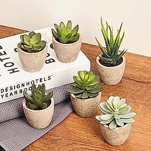 PRIMAISON Artificial Succulents Plants Potted Set-Decorative Fake Succulent Plant Faux Plastic Plant Indoor &Outdoor for House Office Desk Bathroom Kitchen DIY Decor Gift Set of 6