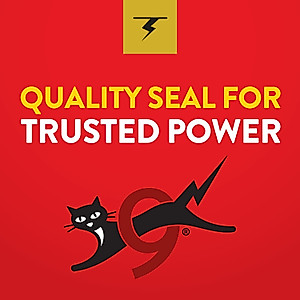 Eveready Gold Alkaline AAA Batteries, 8 Pack of Triple A Batteries