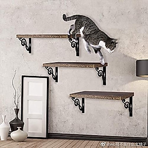 Floating Wall Shelves Set of 3, 16-Inch Solid Wood Floating Shelves Cat Climbing, Wall Mounted Shelf Organizer for Living Room, Bedroom, Kitchen, Bathroom, Office (Carbonized-Brown)