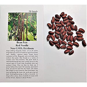 David's Garden Seeds Bean Pole Yard Long Red Noodle FBA-00031 (Red) 50 Non-GMO, Heirloom Seeds
