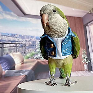 WCDJOMOP Bird Clothes - Handmade Cotton Denim Jacket Shirt with Bronze Button Flight Suit for Parrots African Greys Parakeet Cockatiel Sun Conure Parrot Cosplay Apparel Bird Supplies (L)