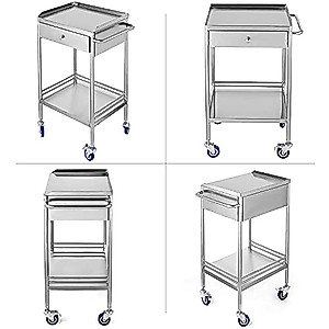 TFCFL 2-Layer Lab Cart, Stainless Steel, 20.9" x 16.5" x 34", 28kg, 4 Lockable Wheels, Omnidirectional, Wide Applications