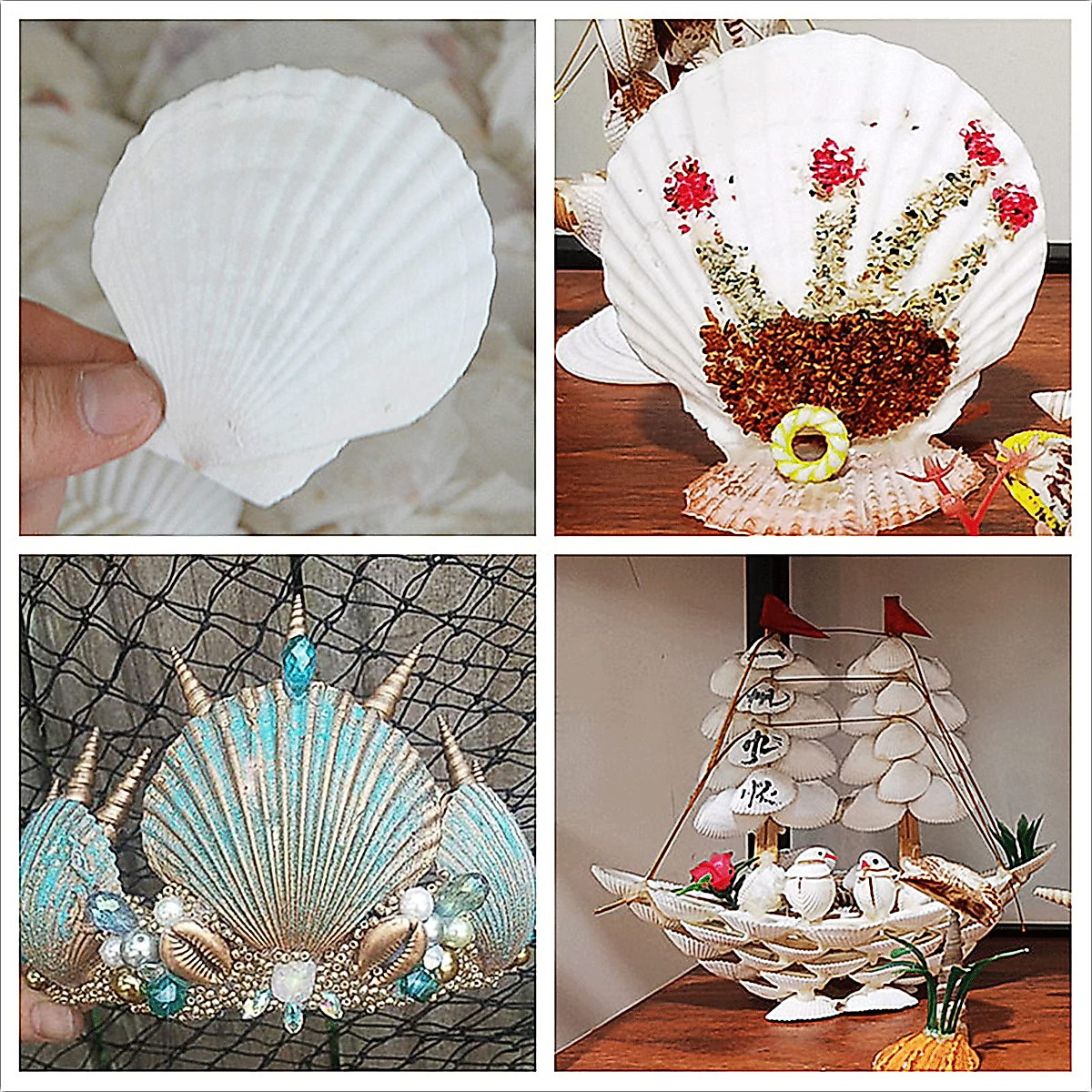 QICQDRAM 25PCS Sea Shells for Crafts Decoration 2''-3'' White Scallop Shells, for Crafts DIY Painting Beaching Wedding Decoration, Beach Natural Scallop Shells Bulk