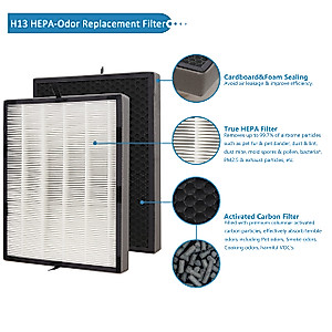 Rioche Premium H13 HEPA-Odor Replacement Air Filters, Compatible with Alen BreatheSmart 45i or Flex Air Purifier, Compare to Part NO. B4-Fresh (Old Part Number FL40), 1 HEPA&1 Carbon Pre-filter