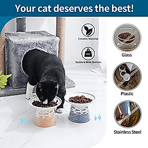 6.25 Inch Extra Wide Raised Ceramic Cat Bowls, Round Food and Water Bowls for Elder Big Cats and Small Dogs, Elevated Heavy Sturdy Base Pet Feeder Dish, Stress Free, Protect Cat's Spine, Set of 2