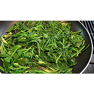 New Zealand Spinach Seeds for Planting, 100+ Heirloom Seeds Per Packet, (Isla's Garden Seeds), Non GMO Seeds, Botanical Name: Tetragonia tetragonioides, Great Home Garden Gift