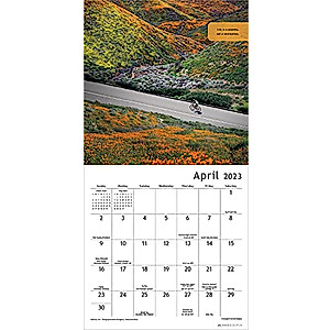 Bicycle Bliss 2023 Wall Calendar: Bike Adventures and Inspiration | 12" x 24" Open | Amber Lotus Publishing