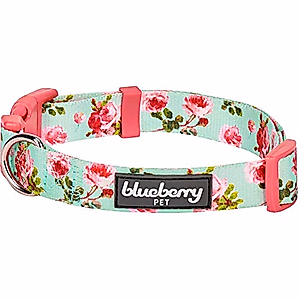 Blueberry Pet 7 Patterns Spring Scent Inspired Floral Rose Print Turquoise Adjustable Dog Collar, X-Small, Neck 8"-11"