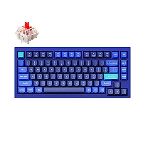 Keychron Q1 RGB Wired Custom Mechanical Keyboard, 75% Layout QMK/VIA Programmable Macro with Hot-swappable Gateron G Pro Red Switch Double Gasket Compatible with Mac Windows Linux (Blue) -Version 2