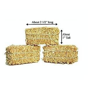 Meyer Imports Mini Hay Bales - Small - (Pack of 3) Small Decorative Hay – for Craft/Dollhouse/Farm/Halloween/Table Decoration - 2.5 x 1 Inches Each