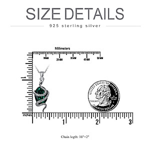 PDTJMTG Snake Necklace Sterling Silver Snake Necklace with Green Crystal Vintage Serpent Necklace Gift for Women