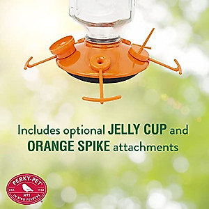 Perky-Pet 9113-2 Top-Fill Glass Oriole Feeder – 22 Oz, Orange