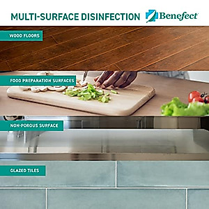 Benefect Botanical Decon 30 Disinfectant Cleaner - All Natural Formula for Effective Cleaning Power - Ideal for Restoration Jobs & Water Damage - 20476 - 1 Gallon