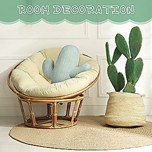 2 Pcs 16 Inches Cute Throw Pillow Cactus Shape Pillow 3D Succulent Pillow Aesthetic Throw Pillows Cute Decorative Pillows Sofa Cushion Office Nap Pillow for Nursery Bedroom Sofa Room Accessory