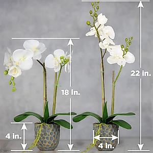 QUI-LO Perennial Gardens 18"-22" H Artificial Orchid Flowers, Fake Orchid, Artificial Orchids, Faux Orchid, Silk Orchids, Fake Flowers, Orchids Artificial Flowers (Rose)