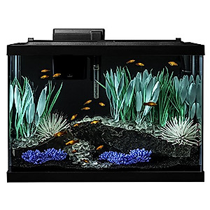 Tetra ColorFusion Aquarium 20 Gallon Fish Tank Kit, Includes LED Lighting and Decor