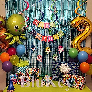 Blukey 2-Packs 3.2ft x 8.3ft Turquoise Metallic Tinsel Foil Fringe Backdrop Curtain for Wedding Christmas Halloween New Year