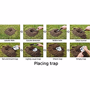 LASSO TRAP Gopher Trap (Pack of 2) Galvanized & Oil-Hardened Steel; Super Cost-Effective, Reusable, & Durable Animal Trap Best in The Lawn, Yard, Garden, Farm, & All Outdoor Settings w/Manual