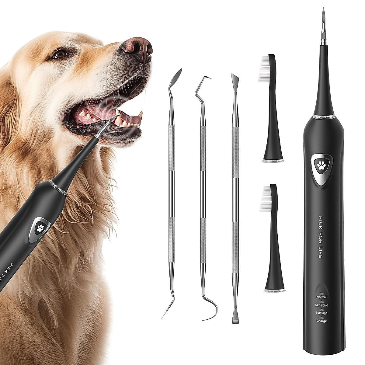 Plaque Tartar Remover for Teeth - Sonic Electric Dog Teeth Brushing Kit - Rechargeable Sonic Electric Dog Tooth Scraper & Cleaning Kit for Dog & Cat, Black