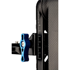 Benro Carbon Fiber Gimbal Head with PL100LW Plate (GH5C)
