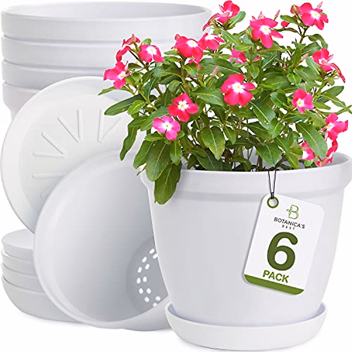 Sierra Concepts Flower Plant Pots for Planters 6 Inch - Set of 6 Plastic Planter Pot Modern Indoor Outdoor for Small Planting, Succulent Plants, Nursery, Orchid, House, Office Décor, Gardening, White