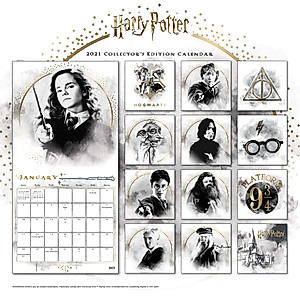Harry Potter 2021 Calendar: Includes 2 Posters