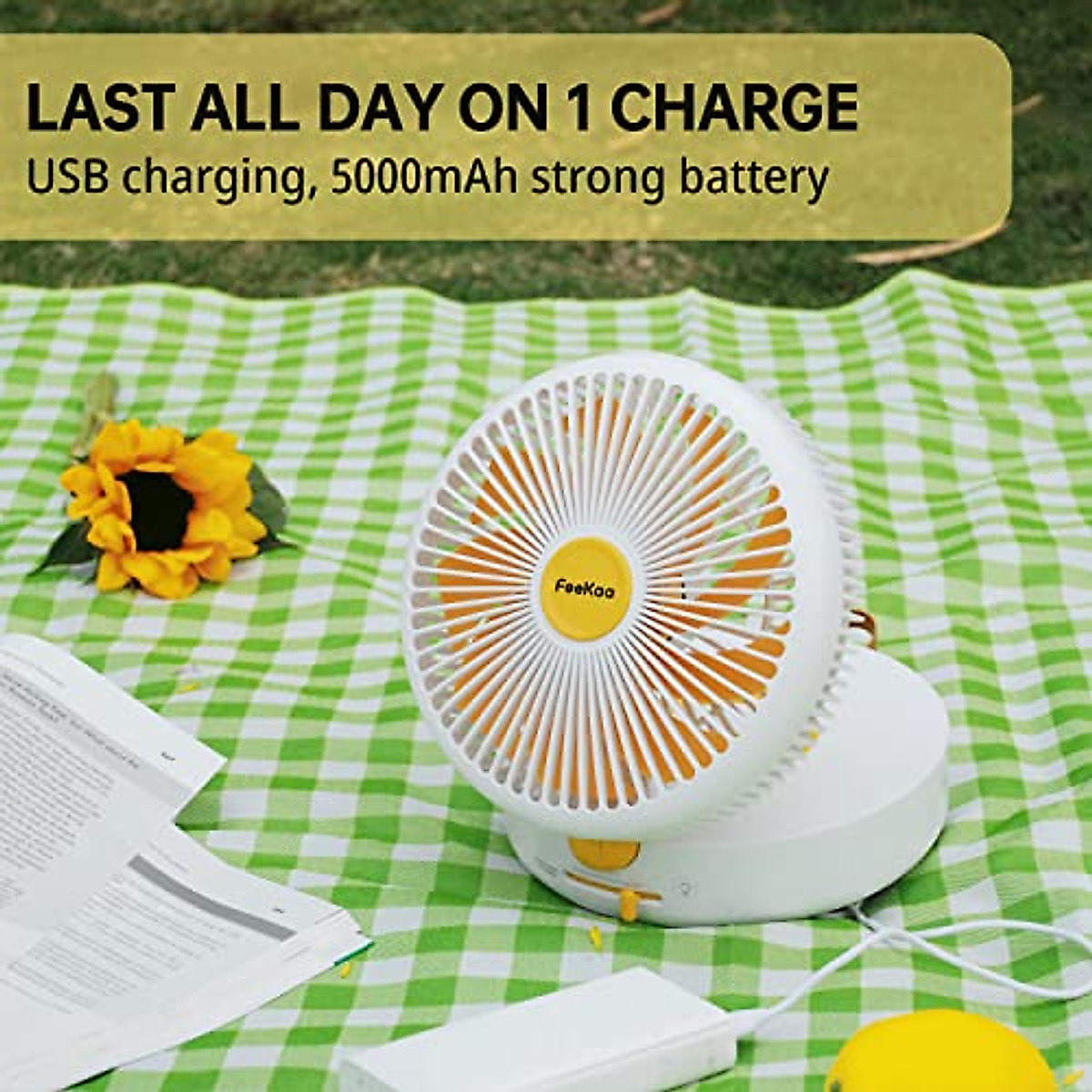 feekaa USB Fan, 8-Inch Oscillating Desk Fan, Small Wall Mounted Fan with Night Light, Rechargeable Battery Operated, Variable Speed, Quiet Fan for Outdoor/Travel/Camping/Office