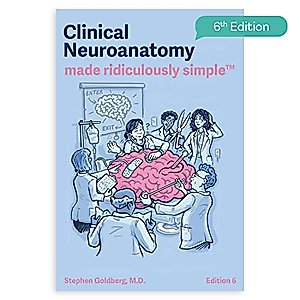 Clinical Neuroanatomy Made Ridiculously Simple: Color Edition