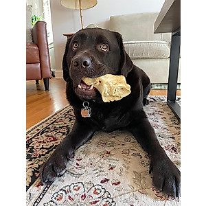 Redbarn All-Natural Cow Ears Chews for Dogs - Single Ingredient Rawhide Alternative Supports Joint and Dental Health - Grain Free Treat Made Without Chemicals - Case of 100 Ears