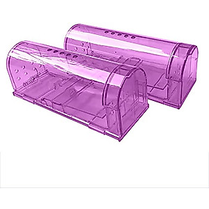 Humane Smart No Kill Mouse Trap, Cruelty Free Live Catch and Release, Easy to Set for Small Rodents Such as Mouse Mice Vole Mole Chipmunk, Reusable for Kitchen Garden Storage Garage (Purple)
