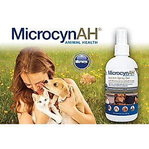 MicrocynAH Anti-Itch Spray Gel with Moisturizing Dimethicone for Dogs| Non-Toxic Spray Formulated to Sooth | Veterinarian Recommeneded Non-Toxic Formula | 8oz