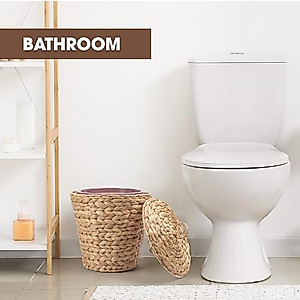 TREVIETDECOR Wicker Trash Can with Lid in Bedroom, Bathroom | Trash Can in Office | Boho Woven Wicker Waste Basket