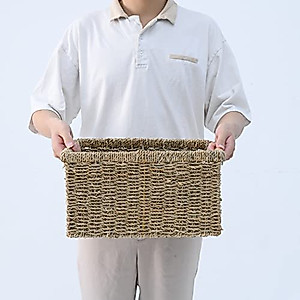 Teri Tale Seagrass Storage Baskets with Wooden Handles, Rectangular Wicker Baskets for Organizing - Decorative Wicker Storage Basket for Living Room (Large)