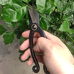 AssemHome Slim Bonsai Scissors Indoor Floral Arranging Gardening Tools Pruning Shears Springsteels Black 6.5 Inch for Hand Trimming of Flowers Plants