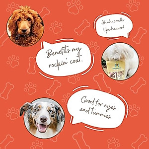 Remy’s Kitchen Sweet Potato Turmeric Freeze Dried Dog Treats USA Sourced and Small Batch Made - Human-Grade, All Natural Superfood Dog Snacks Without Artificial Preservatives, Grain Free - 3.5 oz