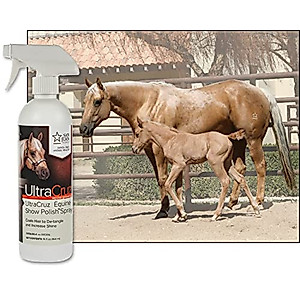 UltraCruz Equine Show Polish Spray for Horses, 16 oz