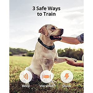 eufy Pet Dog Training Collar 2-Pack, 2 Rechargeable Training Collars with Remote, 3 Safe Training Modes, Soft Silicone Connectors, Safety Lock Switch, IPX7 Waterproof, Large Remote Range