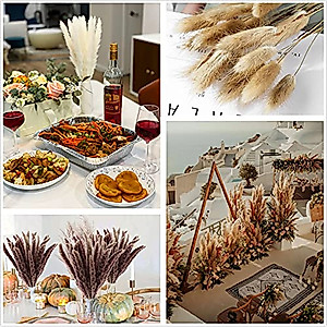Pampas Grass Boho Home Decor, 75Pcs Natural Dried Carefully Hand-Picked Fluffy Pompas Grass 17", White & Brown Pampas Grass, Reed, Bunny Tails for Flower Arrangements Boho Wedding Home Décor