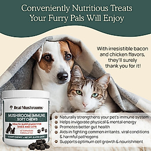Mushroom Immune Support Pet Chews (60ct) Treats for Dogs – Immune Booster Supplements for Pets with Ashwagandha, Astragalus, Blueberry, Olive Leaf, Acerola &Gut Health for Dogs and Cats