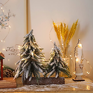 Whalegend Outdoor Lights 2 Pack 33ft 100LED Battery Powered Copper Wire String Lights 8 Modes with Remote Control for Bedroom Christmas Party Home Wedding Decorations Garden Indoor Decor Warm White