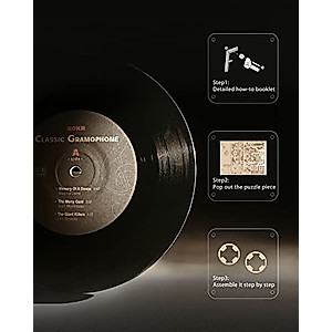 ROKR 3D Wooden Puzzles for Adults-Model Building Kit for Adults to Build-424Pcs DIY Wood Craft Kit-Room Decor for Men and Women