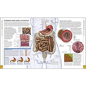 The Human Body Book: An Illustrated Guide to its Structure, Function, and Disorders (DK Human Body Guides)
